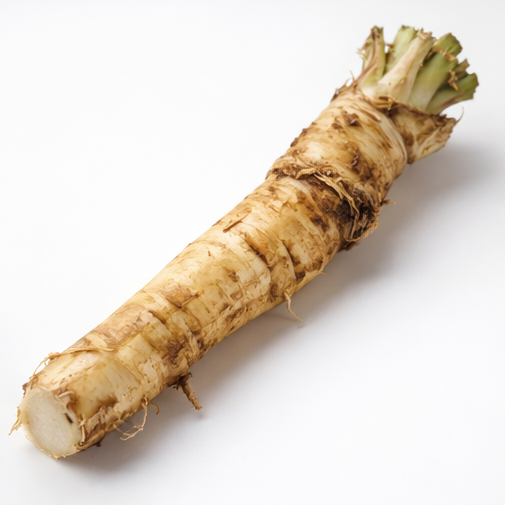 Big Top Horseradish Root Plant | Spicy High-Yield Root, Hardy Perennia ...