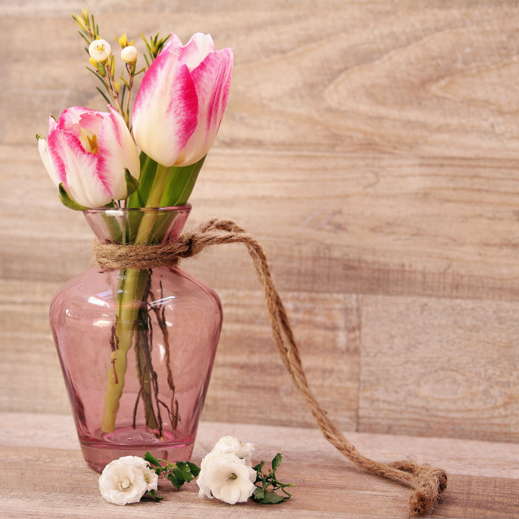 Tulip Single Late (French) ‘Mata Hari’ | Premium 12/+ cm Bulbs | Free ...